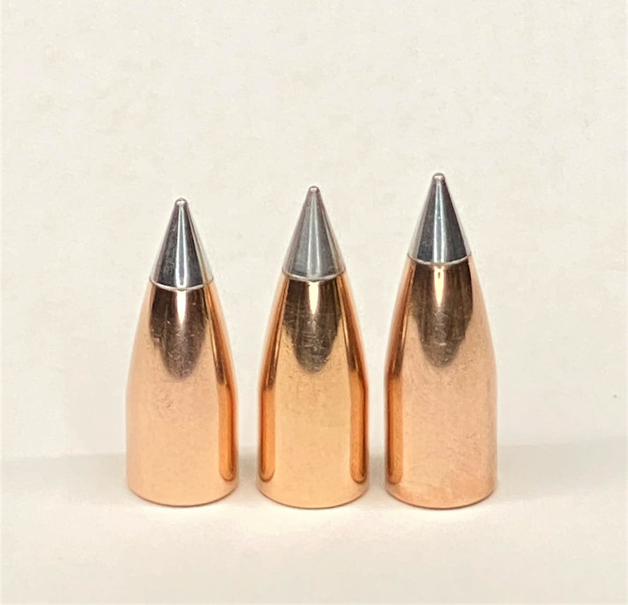 Muzzleloading Projectiles -- Sabots-Ballistic tip-Traditional Hunter ...