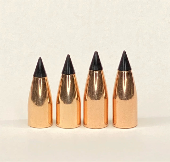 Muzzleloading Projectiles -- Sabots-Ballistic tip-Traditional Hunter ...