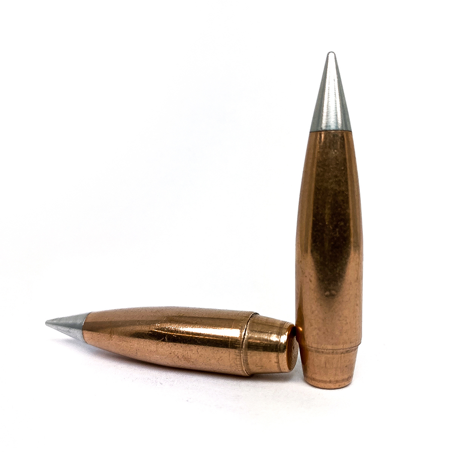 Muzzleloading Projectiles -- Sabots-Ballistic tip-Traditional Hunter ...